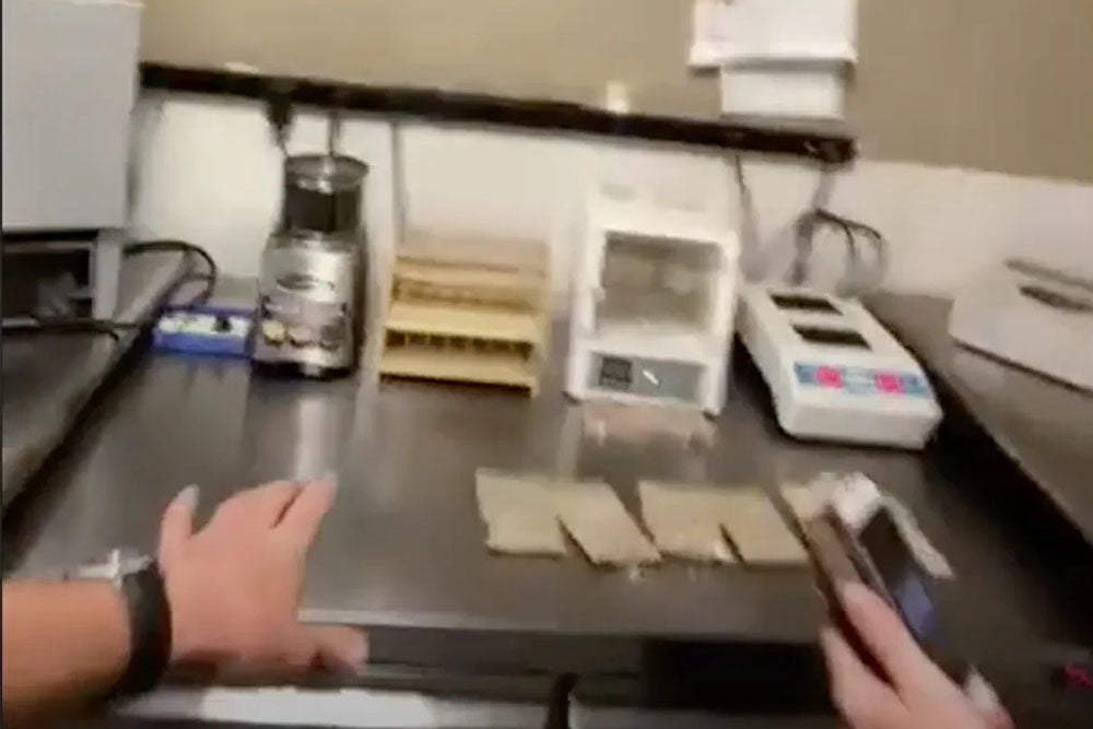 Taking a Virtual Tour of an FDA GMP Kava Processing Facility – Root Of ...